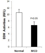 beta-Hydroxybutyrate Dehydrogenase (BDH) Assay Kit